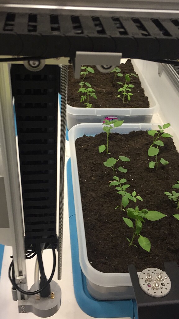 PHOTO CONTEST - SHOW US YOUR SUPER SPROUTS! May 15 draw date - Contests ...